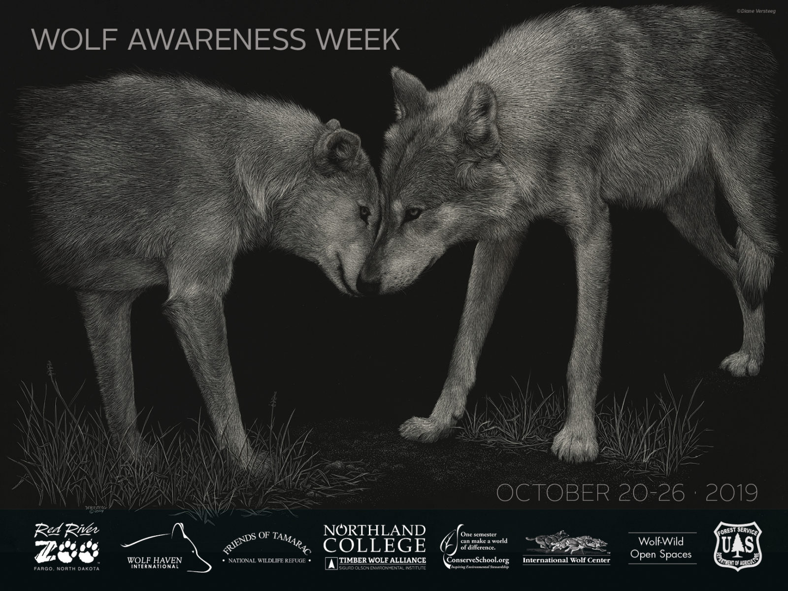 Wolf Awareness Week Poster Northland College wolf-awareness-week-poster-northland-college